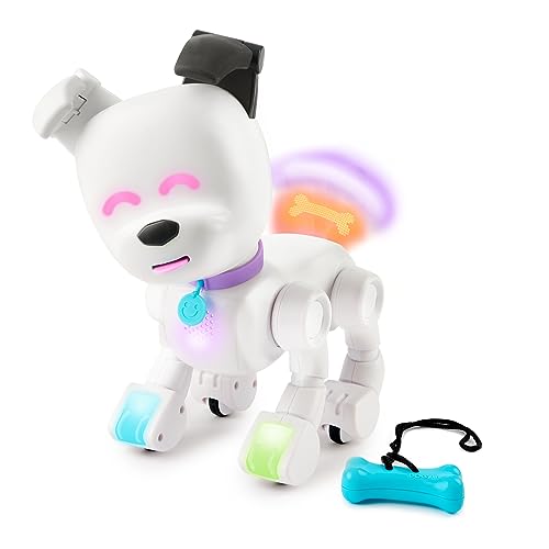 Dog-E Review: A Fun Interactive Robot Dog by WowWee